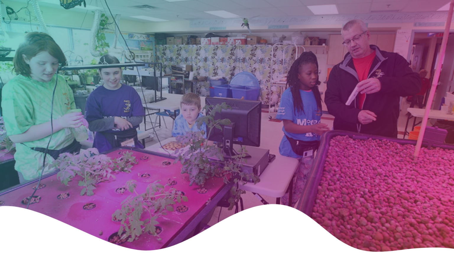 Canada – MicroSociety